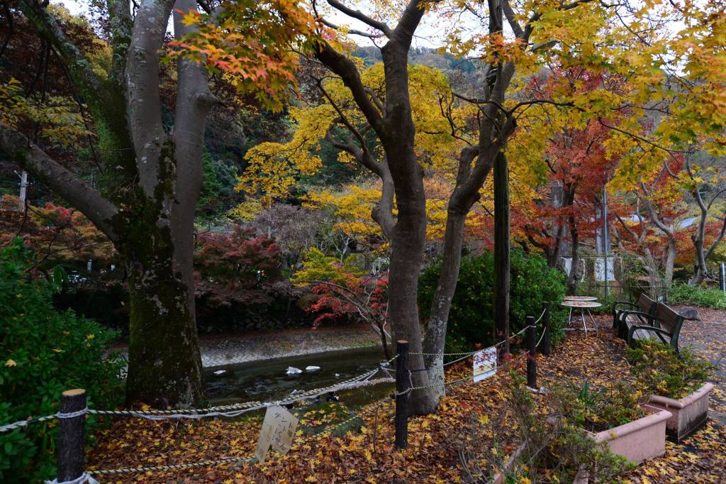 Renge-ji Temple : นั่งมองสระน้ำ กับก้อนหิน ในกรอบรูปที่งดงามราวกับภาพ ...