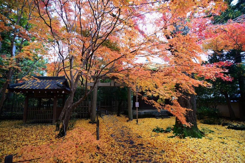 Renge-ji Temple : นั่งมองสระน้ำ กับก้อนหิน ในกรอบรูปที่งดงามราวกับภาพ ...