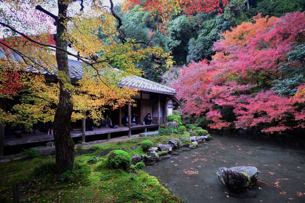 Renge-ji Temple : นั่งมองสระน้ำ กับก้อนหิน ในกรอบรูปที่งดงามราวกับภาพ ...
