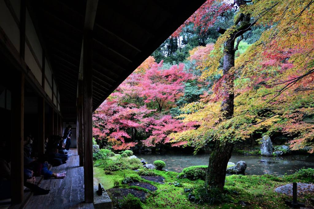 Renge-ji Temple : นั่งมองสระน้ำ กับก้อนหิน ในกรอบรูปที่งดงามราวกับภาพ ...