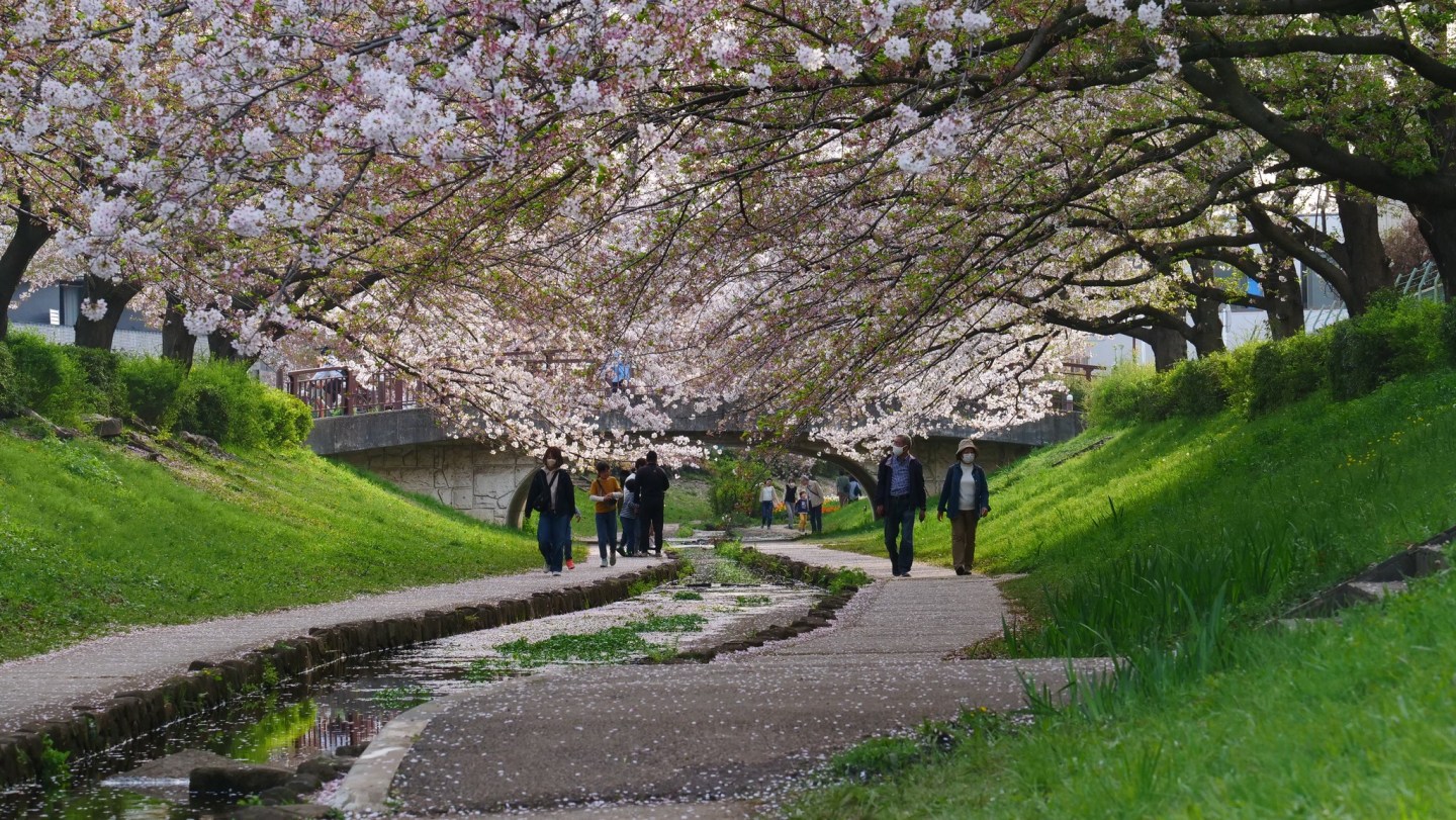 Egawa River Murmuring Green Road : Yokohama – UncleDoctor Vacation