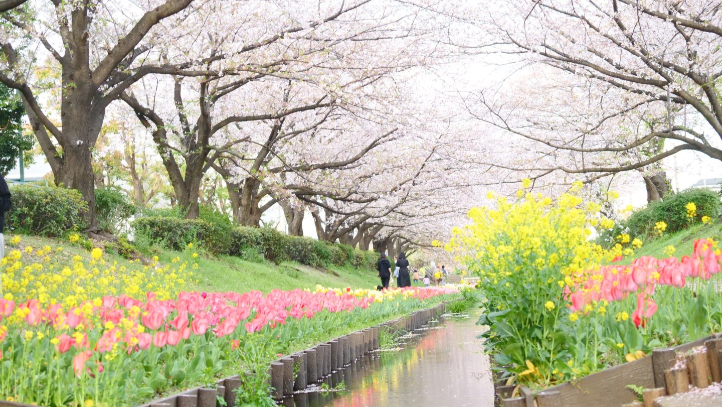 Egawa River Murmuring Green Road : Yokohama – UncleDoctor Vacation